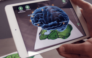 13 Simple Education App Ideas to Launch in 2023