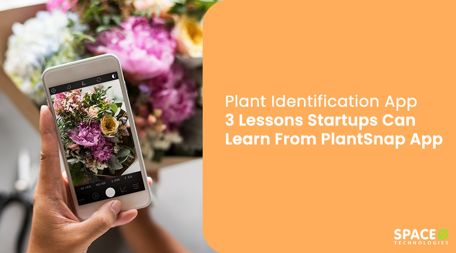 Plant Identification App 3 Lessons To Learn From Plant Snap
