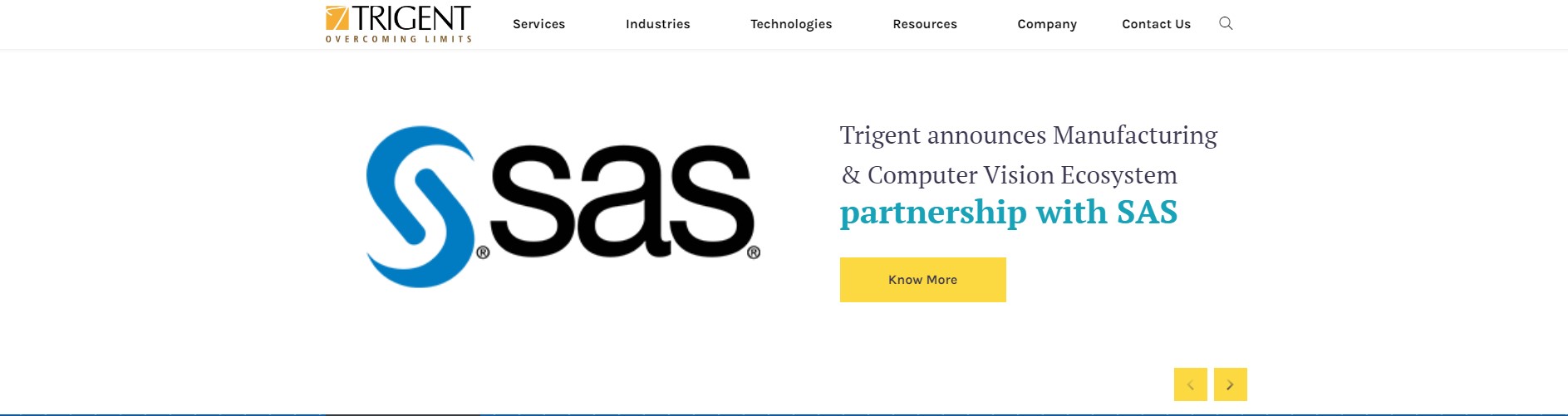 20 Best Custom Software Development Companies in 2021