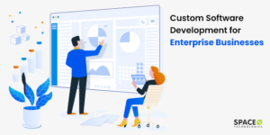 What is Custom Software? Examples, Benefits [Explained]