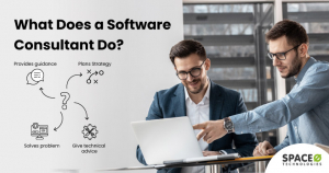 What Does a Software Consultant Do? Roles & Skills