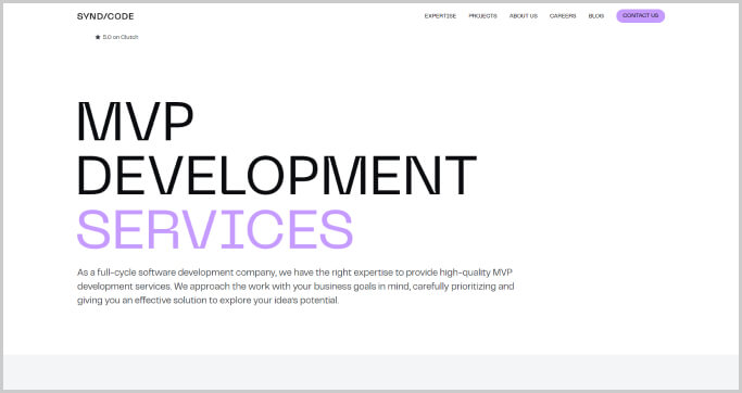 Top 10 MVP Development Companies for Startups in the USA